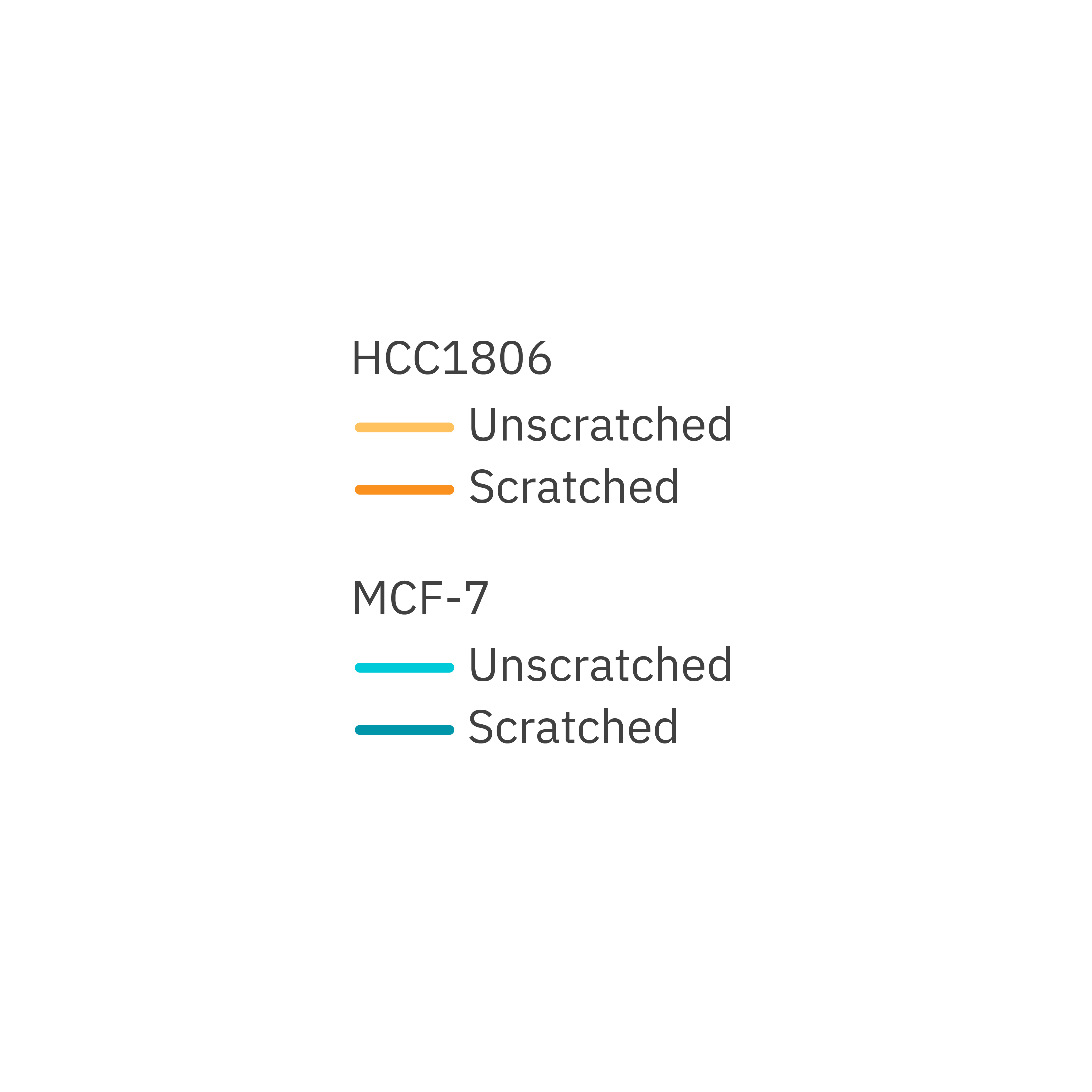 Cell Migration And Scratch Assays Axion Biosystems